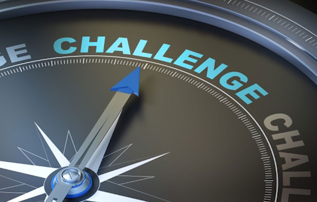 Are You Ready To Handle These Business Challenges? - Red Kite Consulting